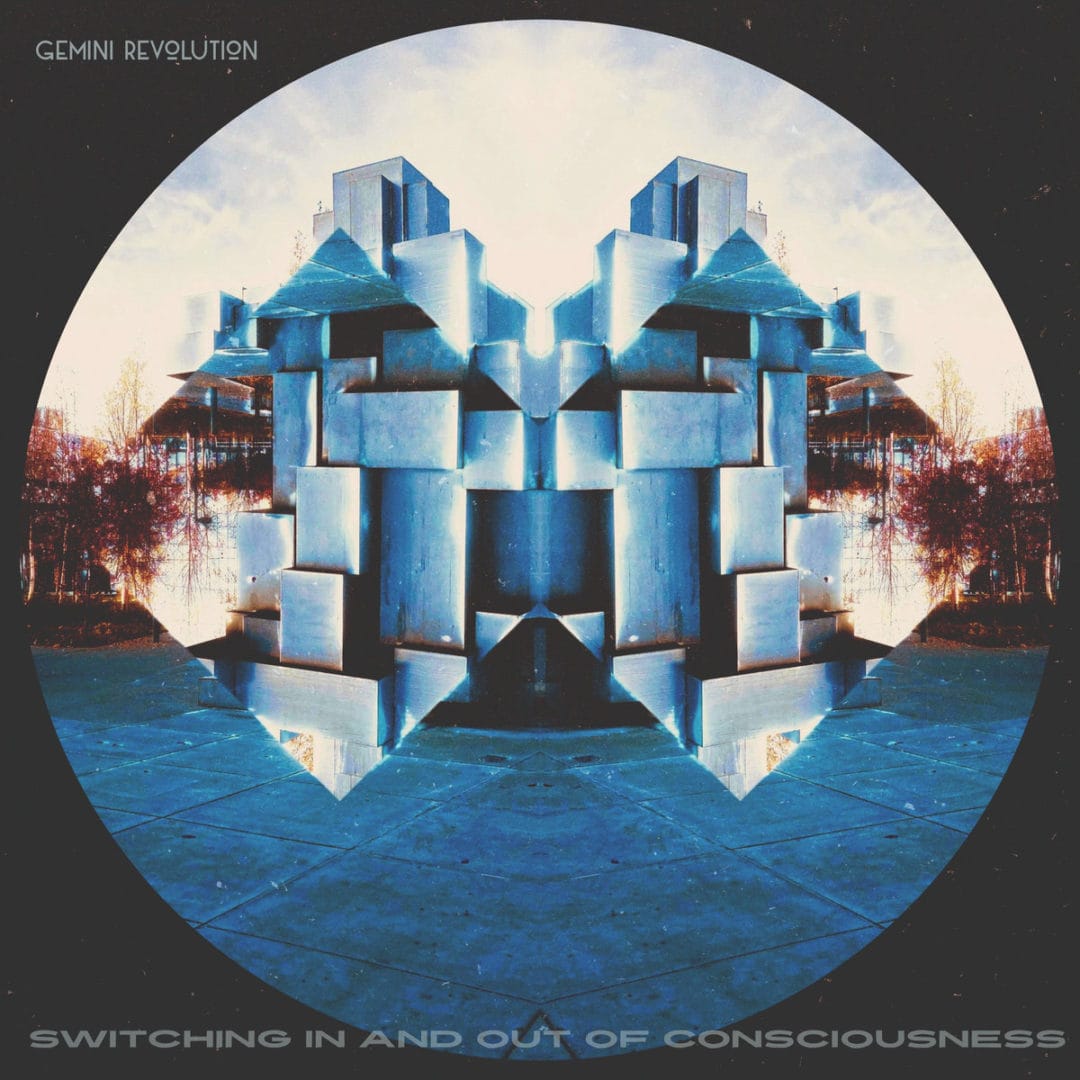 Switching In and Out of Consciousness par Gemini Revolution - HOUZ ...